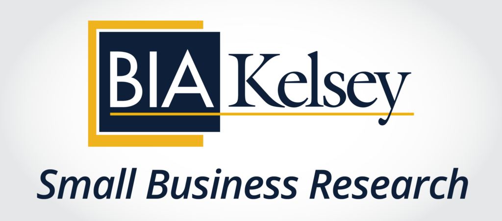 Small Businesses DIY vs. Agencies - BIA Advisory Services